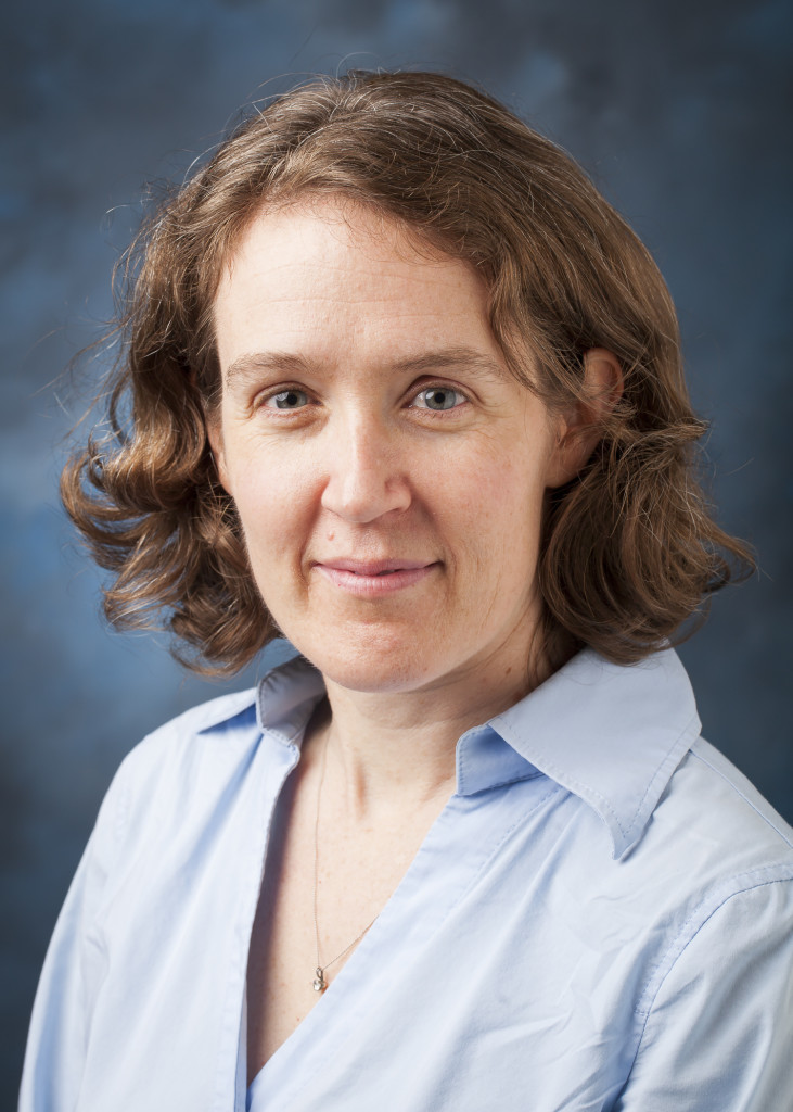 2016 ACTI Faculty Fellows – The Academy of Catholic Thought and Imagination